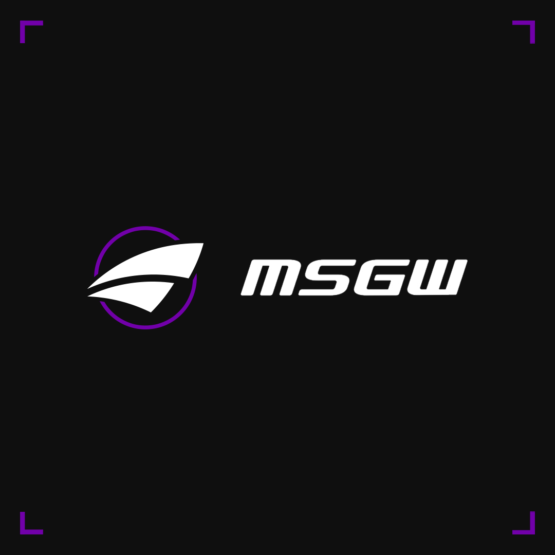 Fantastic Esports potpisao partnerstvo s MSGW-om - Esport Adria